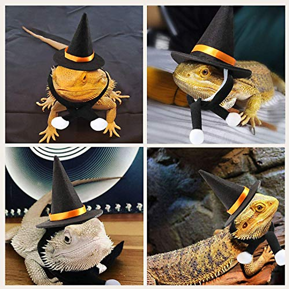 Rypet Bearded Dragon Halloween Costume - Lizard Wizard Hat with Scarf Halloween Costumes Set for Bearded Dragon Halloween Party
