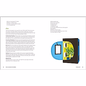 Indoor Grow Room for Beginners: A Step-By-Step Guide to Growing Marijuana