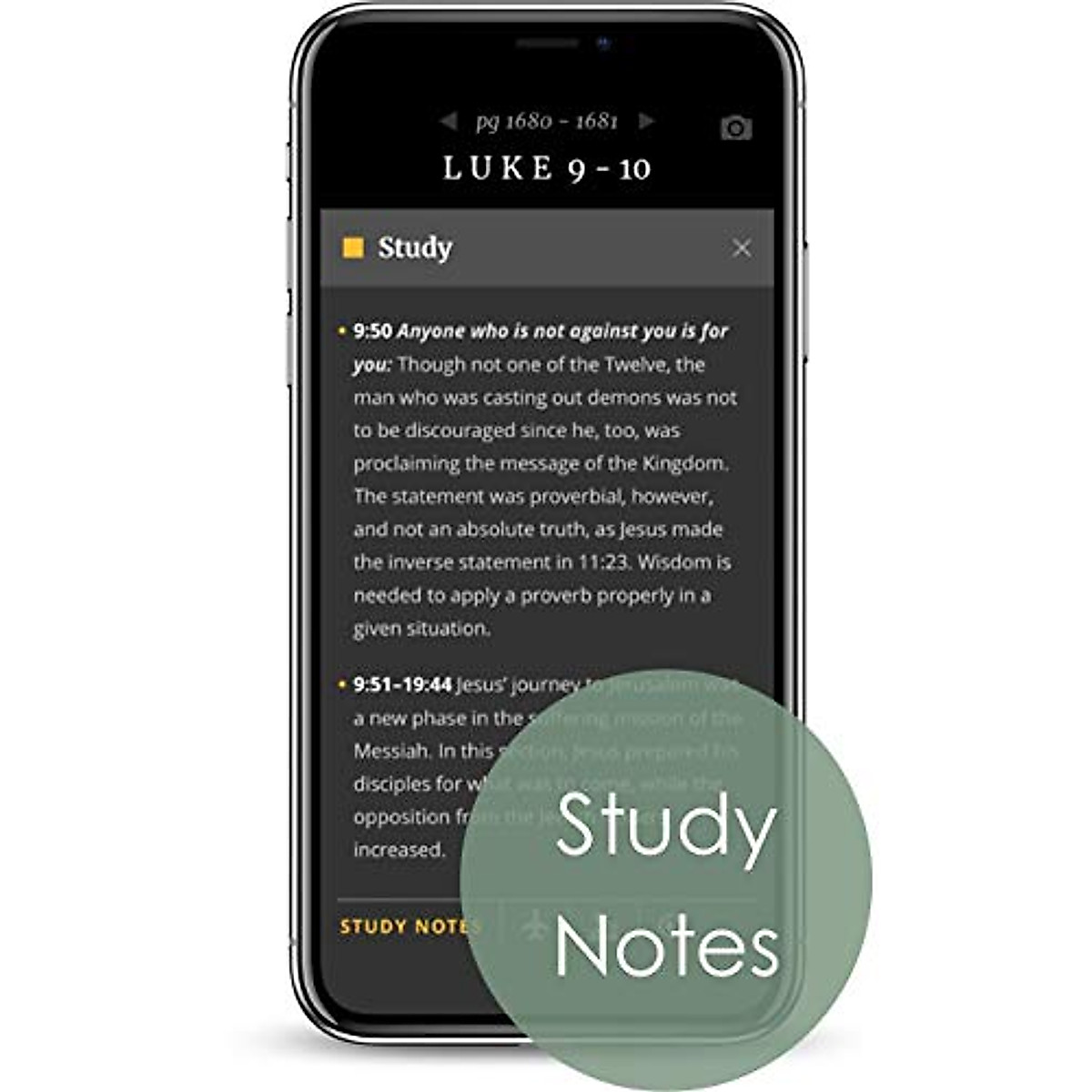NLT Thinline Reference Holy Bible (Red Letter, LeatherLike, Brushed Pink): Includes Free Access to the Filament Bible App Delivering Study Notes, Devotionals, Worship Music, and Video