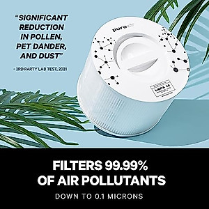 2-Pack of Genuine PuroAir 240 Replacement Filter HEPA 14 Medical-Grade - HEPA 14 Filter for PuroAir Purifier - Captures 99.99% of Pet Dander, Smoke, Pollen, Allergens, Dust, Mold, Odors (2 PACK)