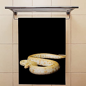 Patteraless Snake Dish Towel 2PC Hand Towels for Bathroom 15" x 30" Absorbent Soft for Hand, Face, Kitchen, Hotel, Spa, Gym, Swim