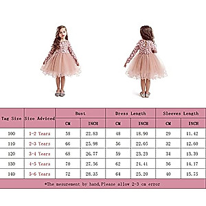 HNXDYY Baby Girl Long Sleeves Girls Dress Kids Birthday Party Tutu Princess Dresses Pink_424 3-4 Years