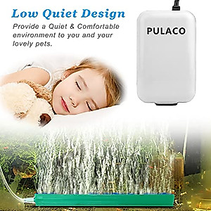 PULACO Corded Electric Ultra Quiet Aquarium Air Pump Dual Outlet, Fish Tank Aerator Pump with Accessories, for Up to 100 Gallon Tank