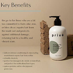 Privé Damage Fix Conditioner Repair 3oz
