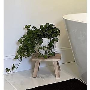 Golden Sun WM Unfinished Step Stool Footstool Wooden 11 inch for Kids Adults Plant Stand Plant Stand Fishing Stool Wood Small