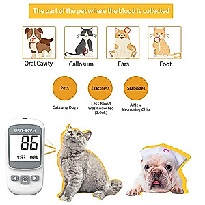 URIT Pet Blood Glucose Meter for Dog Cat with 50 Test Strips, Blood Suger Monitor Kit,Blood Glucose Monitoring System for Dog/Cat Diabetes.