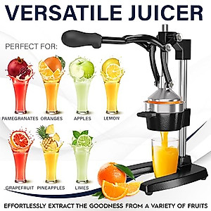 Eurolux Cast Iron Citrus Juicer | Extra-Large Commercial Grade Manual Hand Press | Heavy Duty Countertop Squeezer for Fresh Orange Juice (Bonus Stainless Steel Cup) (Black)