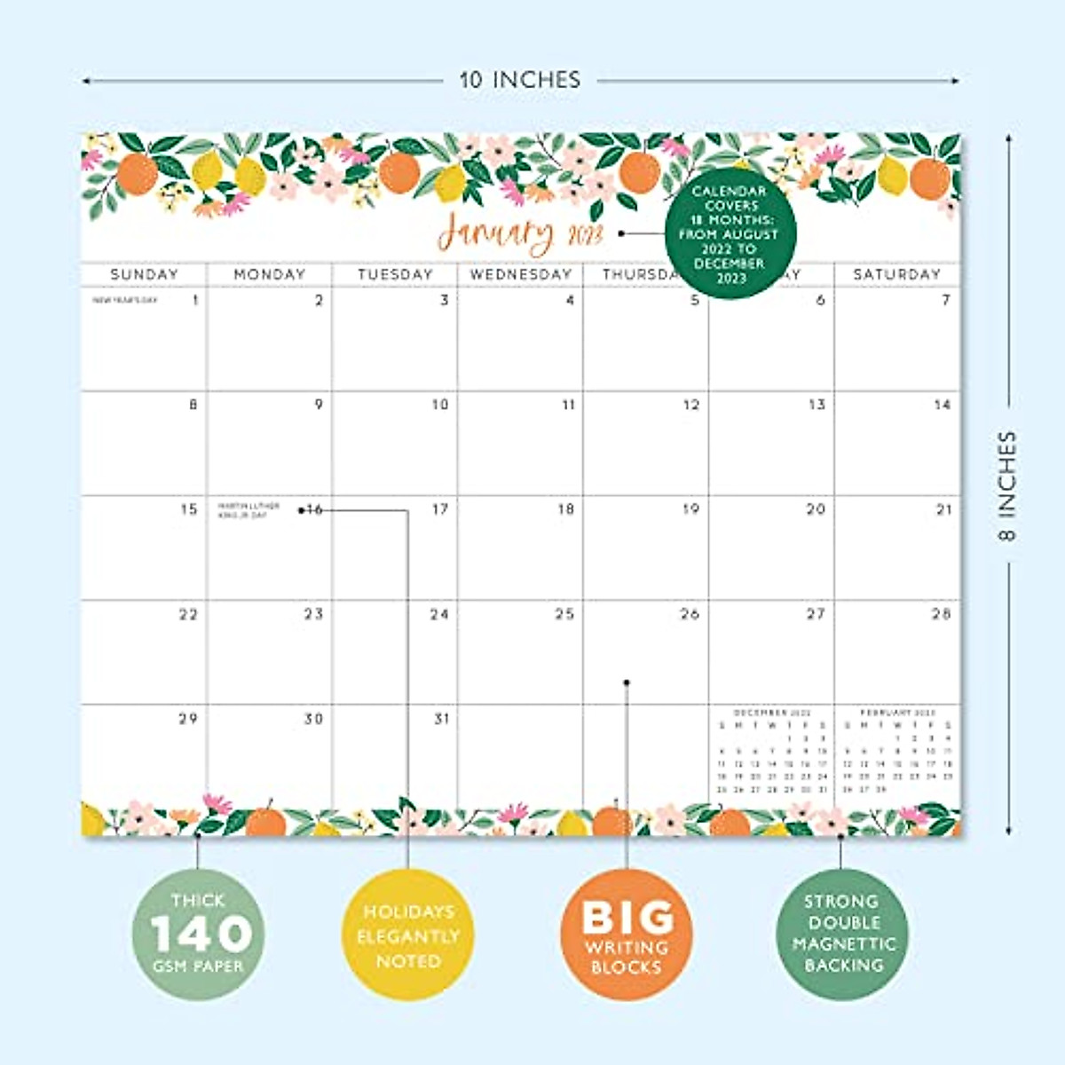 S&O Fruity Magnetic 2023 Fridge Calendar from July 2022-Dec 2023 - Tear-Off Refrigerator Calendar to Track Events & Appointments - 18 Month Magnetic Calendar for Fridge for Easy Planning - 8"x10" in.