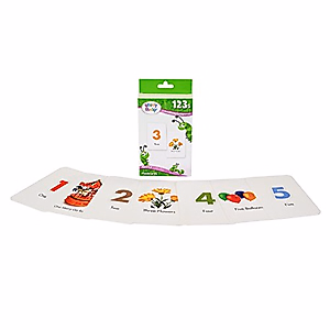 Brainy Baby 123s Flashcards: Introducing Numbers 1 to 20 Deluxe Edition