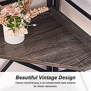 HOMBAZAAR Corner Shelf 5-Tier with Storage,Industrial Corner Bookshelf with Adjustable Board, Rustic Display of Corner Shelf Stand for Living Room, Home Office, Bedroom, Small Space,Grey