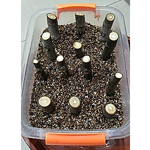 Organic Vermiculite Granules for Plants and Gardening (20 Quarts)