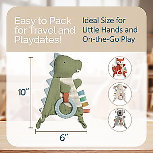 Itzy Ritzy - Bitzy Crinkle Sensory Toy Dinosaur with Crinkle Sound for Babies & Toddlers - Features Soft Braided Teething Ring & Textured Ribbons, Designed for Ages 0 Months and Up, Dinosaur