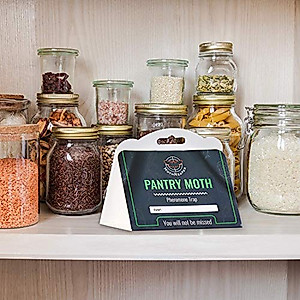 Premium Pantry Moth Traps, Insecticide-Free Moth Pheromone Traps, Glue Trap for Flour, Meal, and Seed Moths, Cupboard Moth Traps, Effective Pest and Moth Lure and Traps (20-Pack) (Dark, 20-Pack)