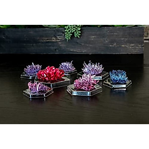 4M Crystal Growing Science Experimental Kit - 7 Crystal Science Experiments with Display Cases - Easy DIY STEM Toy Lab Experiment Specimens, Educational Gift for Kids, Teens, Boys & Girls