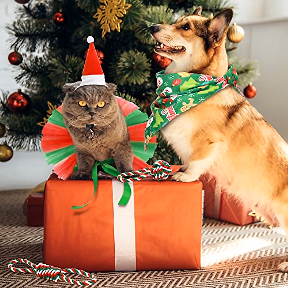 5 Pieces Christmas Dog Costume Set, Include Christmas Adjustable Pet Hat, Red and Green Tutu Skirt, Dog Bandana, Christmas Rope Dog Toy for Small Medium Dog Puppy Cat Pet Xmas Party Accessories
