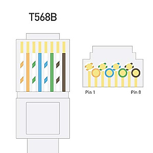 Cable Matters 100 Pack Cat 6 / Cat6 RJ45 Modular Plugs for Solid or Stranded UTP Cable / RJ45 Plugs