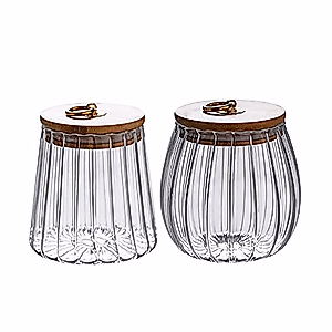 HongDream Glass Jars Canister Airtight Storage Container with Lid Metal Handle Small Glass Food Jars and Canisters Sets for Coffee Tea Spice 2 Pcs