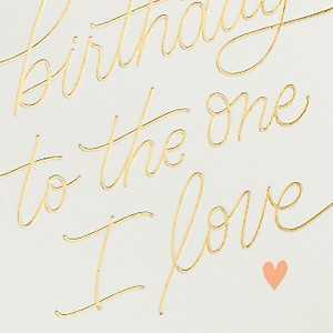 Hallmark Signature Birthday Card for Husband, Wife, Boyfriend, Girlfriend (One I Love) (5RZH2202)