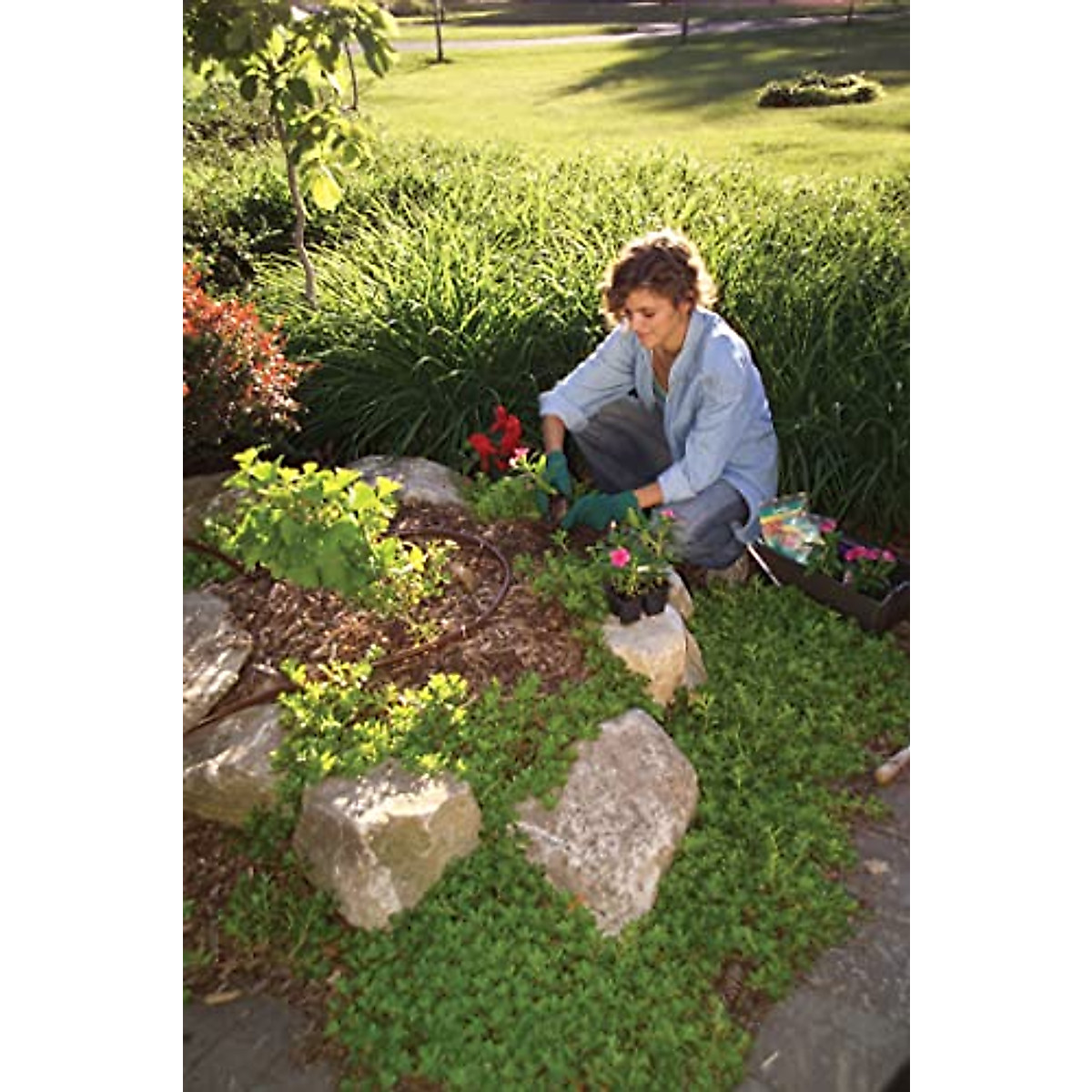 Rain Bird T63-100 Drip Irrigation 1/2" (0.634" OD) Blank Distribution Tubing, 100' Roll, Black