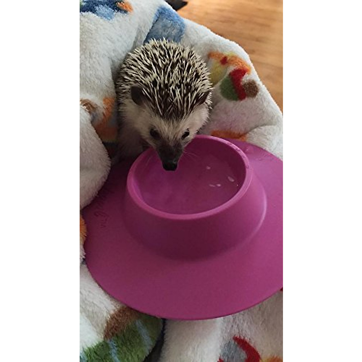 STAYbowl Tip-Proof Ergonomic Pet Bowl for Guinea Pig and Other Small Pets, 1/4-Cup Small Size, Lilac (Purple)