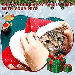 2 Pieces Christmas Dog Clothes Hoodie and Santa Claus Pet Dog Costume Set Winter Puppy Snowman Sweater Outfit Xmas Pet Funny Pajamas (Small)