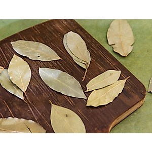 Swẹẹt Bay Leaf Plạnt Lịvẹ – Bay Laurel Trẹẹ – 4 to 6 Inches in Height