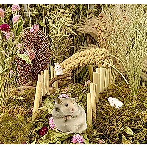 Hamster Bedding, Natural Hamster Bedding Flowers Herbs Cereal Grain For House Cage Habitat Enclosure Decor- Hamster Chews for Gerbils Mouse Rat Lemming Degus Guinea Pig or Small Animal Bedding Pets