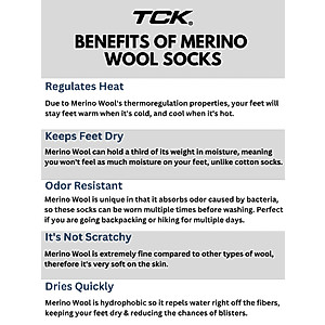 TCK Merino Wool Striped Crew Socks (Plum/Lavender, Large)