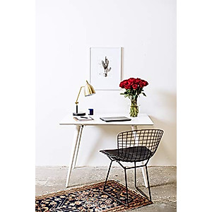 Benchmark Bouquets 2 Dozen Red Roses, With Vase (Fresh Cut Flowers)