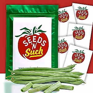 Seeds N Such 1310 Hand Selected Spring Vegetable Garden Seeds | Includes 5 Individually Packaged Seeds Tomatoes, Blue Beans, Cucumbers, Lettuce & Peppers | Untreated & Non-GMO