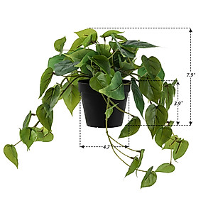 LuckyGreenery Artificial Scindapsus Aureus, Realistic Fake Plant with Plastic Pot for Home Office Garden Decoration 1 Pack(8in H)
