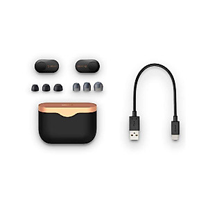 Sony WF-1000XM3 Industry Leading Noise Canceling Truly Wireless Earbuds Headset/Headphones with Alexa Voice Control And Mic For Phone Call, Silver