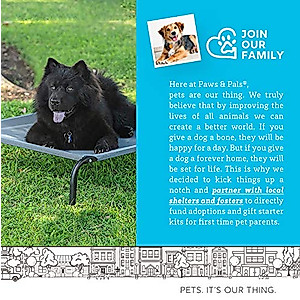 Paws & Pals "Travel Gear Approved" Steel-Framed Portable Elevated Pet Bed Cat/Dog, 43.5" by 29.5", Black