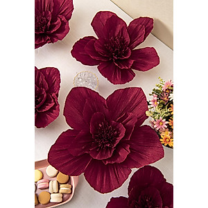 MEJOY 12" 3D Paper Flower Decoration for Party, Wedding Decoration, Background Wall, Nursery Room Decoration, Bridal Shower, Baby Shower(Burgundy, 5 Pcs)