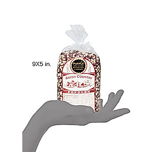 Amish Country Popcorn | 2 lbs Bag | Purple Popcorn Kernels | Old Fashioned, Non-GMO and Gluten Free (Purple - 2 lbs Bag)