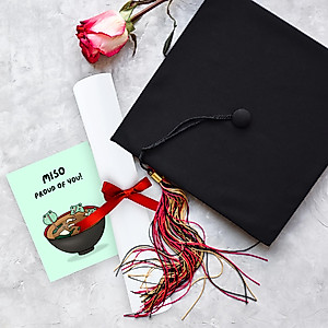 ALY LOU Funny Graduation Card, Congratulations Congrats Card for Him/Her, Funny Grad Card for New Job Promotion, New Home, Wedding Celebration (Miso Proud)