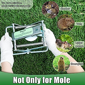 2 Pack Mole Traps That Kill Best, Scissor Mole Traps for Lawns Vole Traps Outdoor Use, Mole Trap Easy to Set Galvanized Steel Reusable Quick Capture Gopher