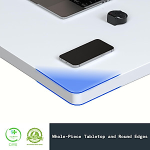 FLEXISPOT Whole Piece 55"x28" Desktop 1" Thickness Height Adjustable Desk Rectangular Tabletop White Board (55INCH White Top)