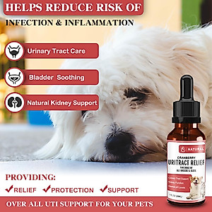 SZYCKJGS Dog UTI Treatment | Bladder Control for Dogs | Cranberry Supplement for Dogs | Pet Renal Health & UTI Care Drops | Cat Urinary Tract Infection Treatment | 1 fl oz