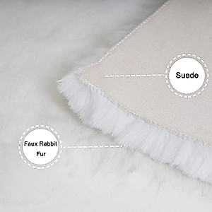 Ghouse Ultra Soft Faux Rabbit Fur Rug 2x3, Machine Washable Area Rugs for Bedroom Fluffy Rugs for Living Room, no-Shedding Carpet Sheepskin Rug White