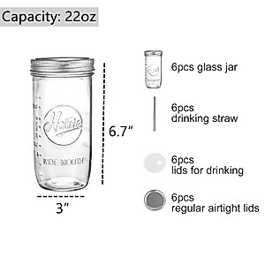 Dicunoy 6 Pack 24oz Glass Smoothie Cups, Reusable Boba Tea Cups with Lids and Straws, Wide Mouth Iced Coffee Cups Tumbler, Mason Jars for Iced Beverage, Juice, Jam, Honey, Travel Drinking