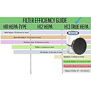 Flintar H13 True HEPA Replacement Filter, Compatible with LV-H132 Air Purifier, Part # LV-H132-RF, 2-Pack