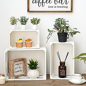 EMAX HOME Rustic Wood Crates for vintage decorative display, wooden crates decorative with Handles, wooden boxes made from 100% Wood ,white crates wooden,Decorative Wood Crates(Nested Set of 3)