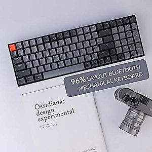 Keychron K4 96% Layout 100 Keys Wireless Bluetooth 5.1/Wired USB Mechanical Gaming Keyboard with Gateron G Pro Blue Switch RGB Backlight N-Key Rollover for Mac Windows PC-Version 2