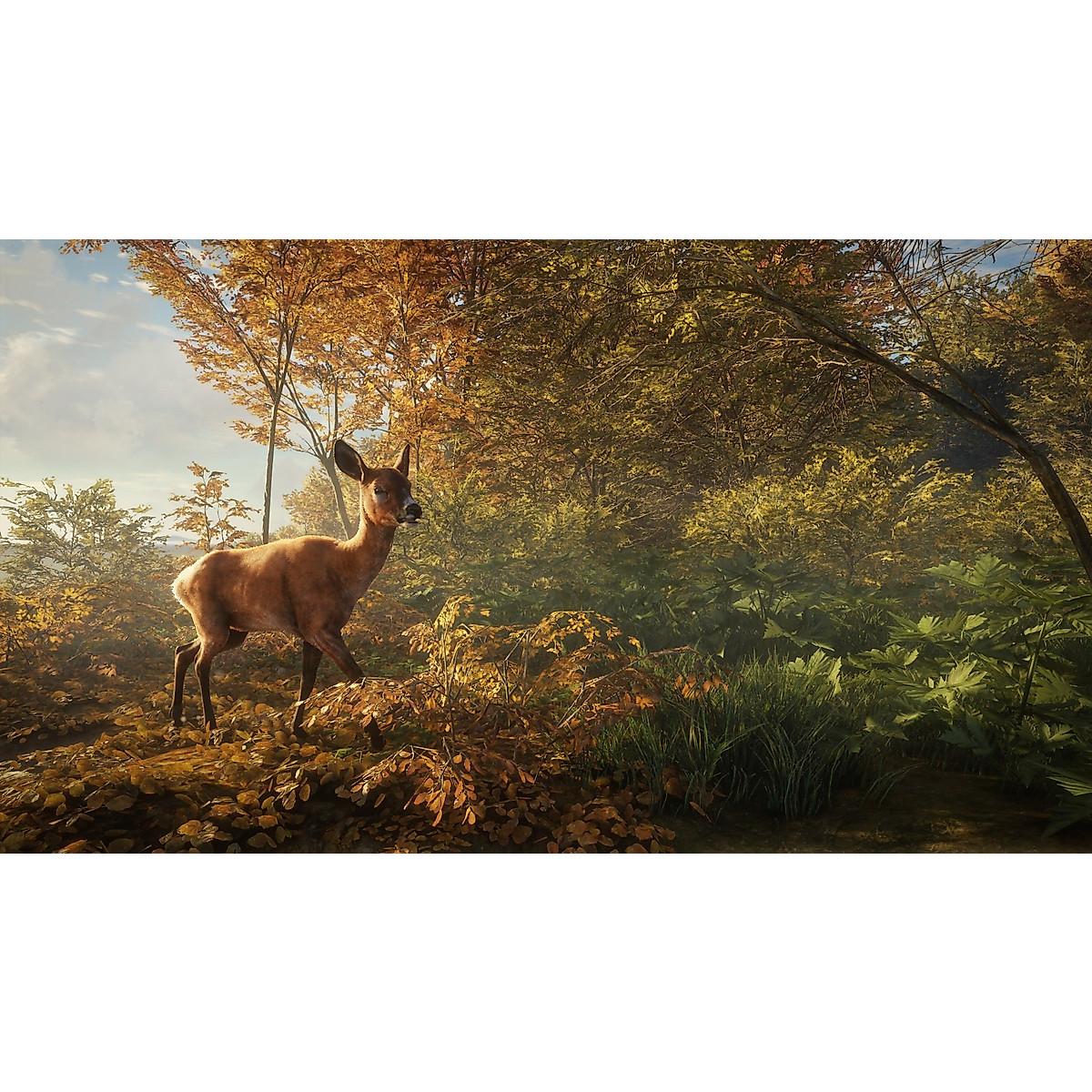 theHunter: Call of the Wild - PC