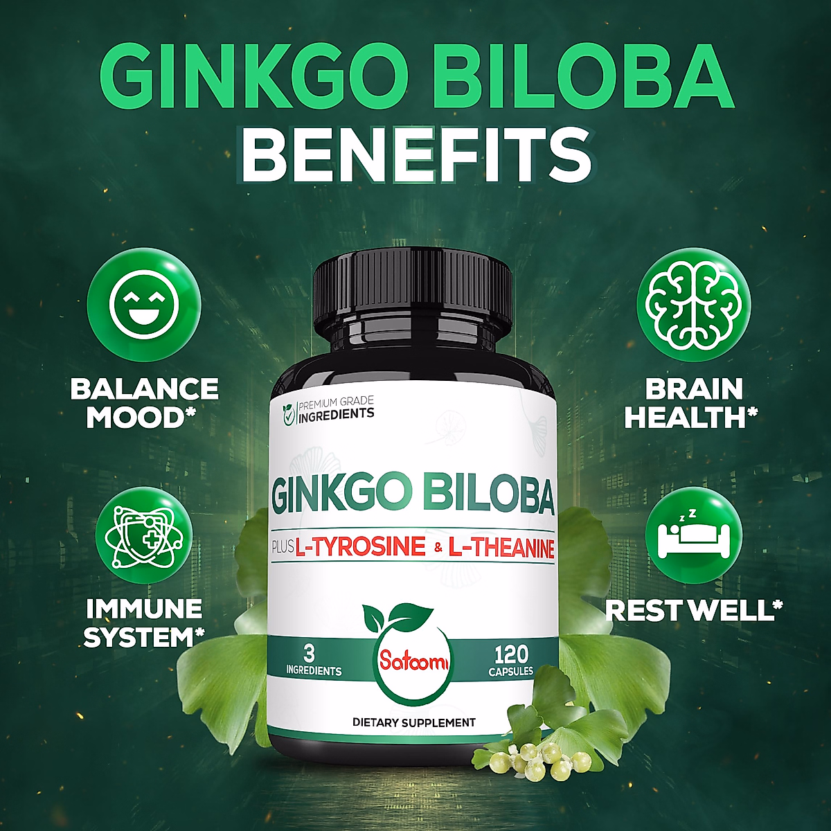 1000mg Ginkgo Biloba Supplements with L-Tyrosine, L-Theanine - 120 Capsules for 2-Month Supply - Support Focus, Mermory Function, Brain Health & Vision Quality