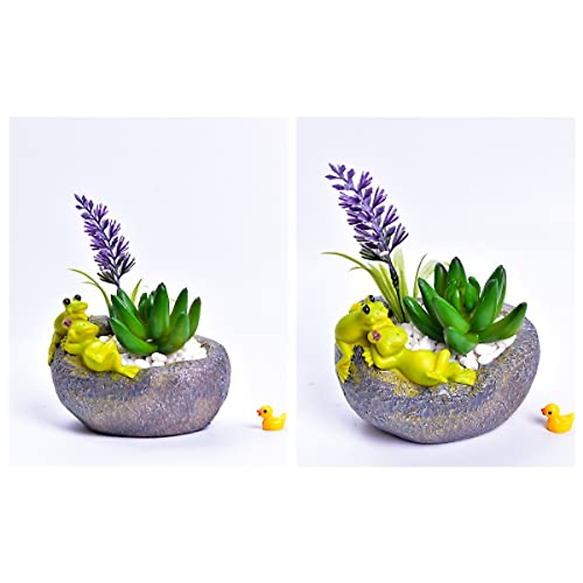 Novelty Cute Couple Frog Flowerpot with Drainer Garden Flowerpot Resin Succulent Potted Bonsai Plant Stand Home Desk Mini Ornaments Without Plants