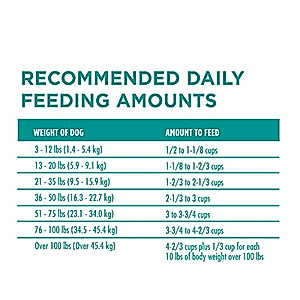 Purina ONE Dog Digestive Support, Natural Dry Dog Food, +Plus Digestive Health Formula - 31.1 lb. Bag