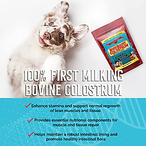 BodyBoost Bovine Colostrum for Dogs and Cats, Organic Immune Support Supplement for Allergy and Itch Relief, Grass Fed Colostrum Powder for Pets, Dog Gut Health, All Ages, 8 oz