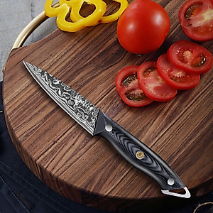 MOSFiATA Damascus Paring Knife 3.5 inch Fruit Knife with Gift BoX